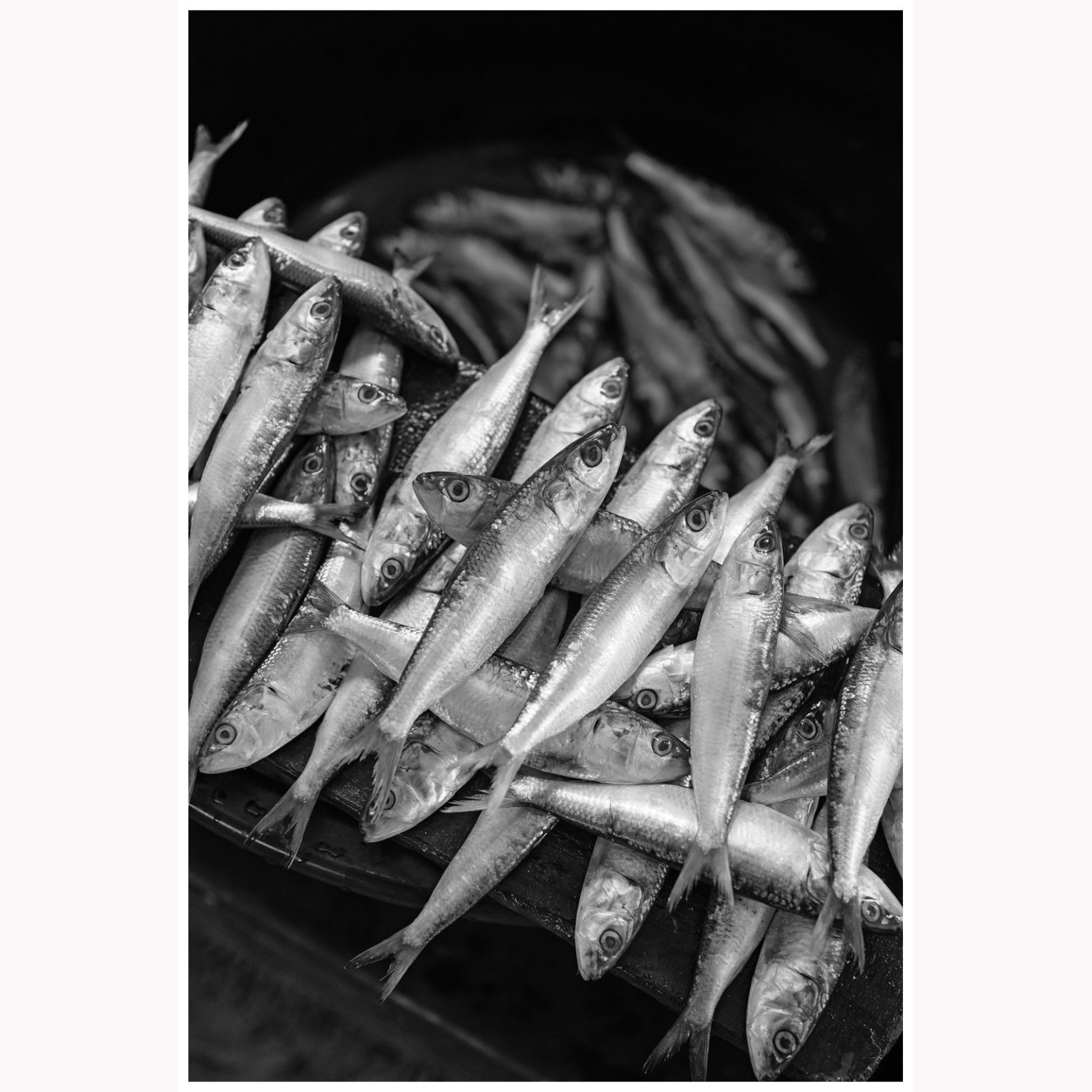 Art Archives - this and that